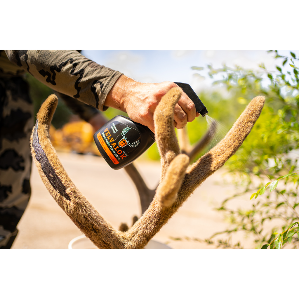 VELVALOK – LONE WOLF